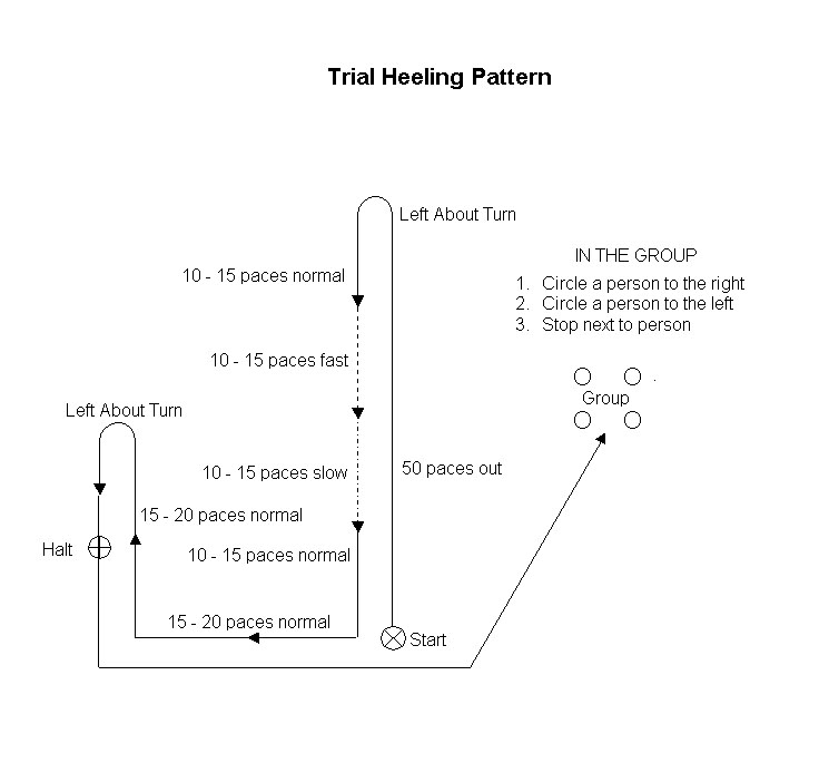 Quick Reference Guide to the New IGP (formerly IPO/Schutzhund) rules ...