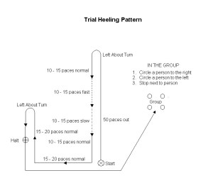 Quick Reference Guide to the New IGP (formerly IPO/Schutzhund) rules ...